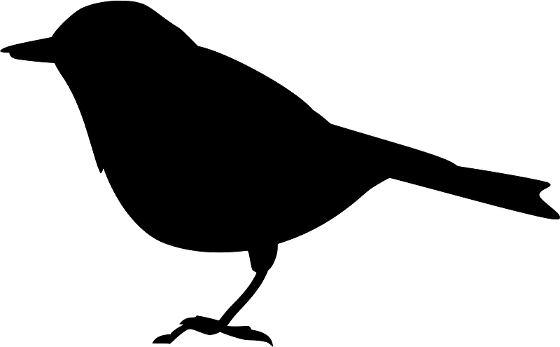 Goldcrest bird - Free vector silhouettes on creazilla.com