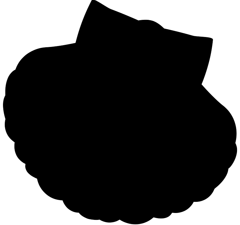 Marine shell - Free vector silhouettes on creazilla.com