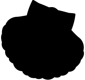 Marine shell - Free vector silhouettes on creazilla.com