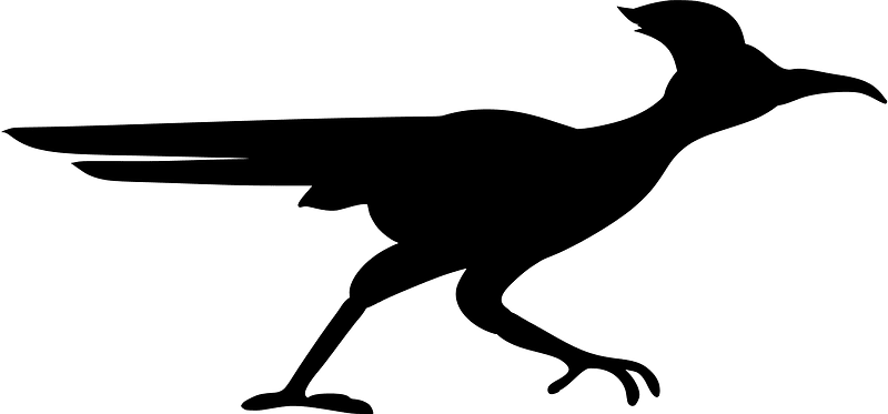 Roadrunner - Free vector silhouettes on creazilla.com