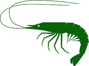 Shrimp silhouette - Free Vector Silhouettes | Creazilla