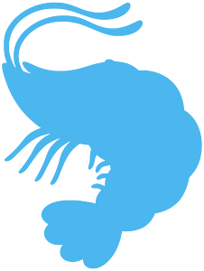 Shrimp silhouette - Free Vector Silhouettes | Creazilla