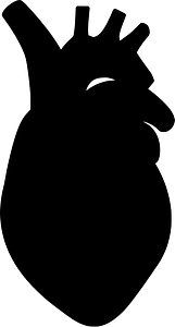 Human heart - Free vector silhouettes on creazilla.com