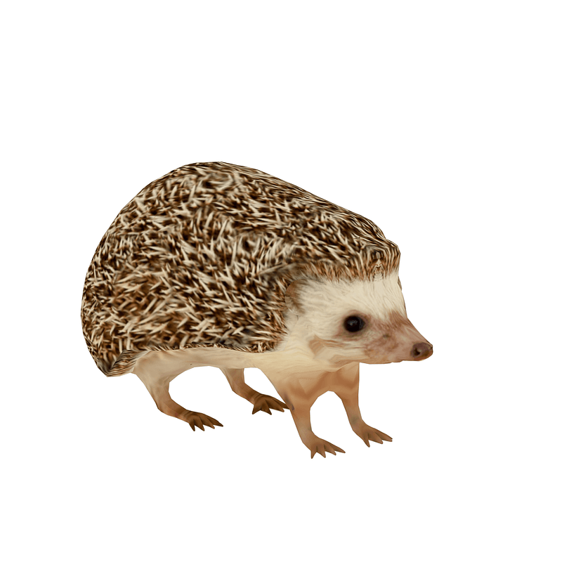 Hedgehog - Free 3d model on creazilla.com