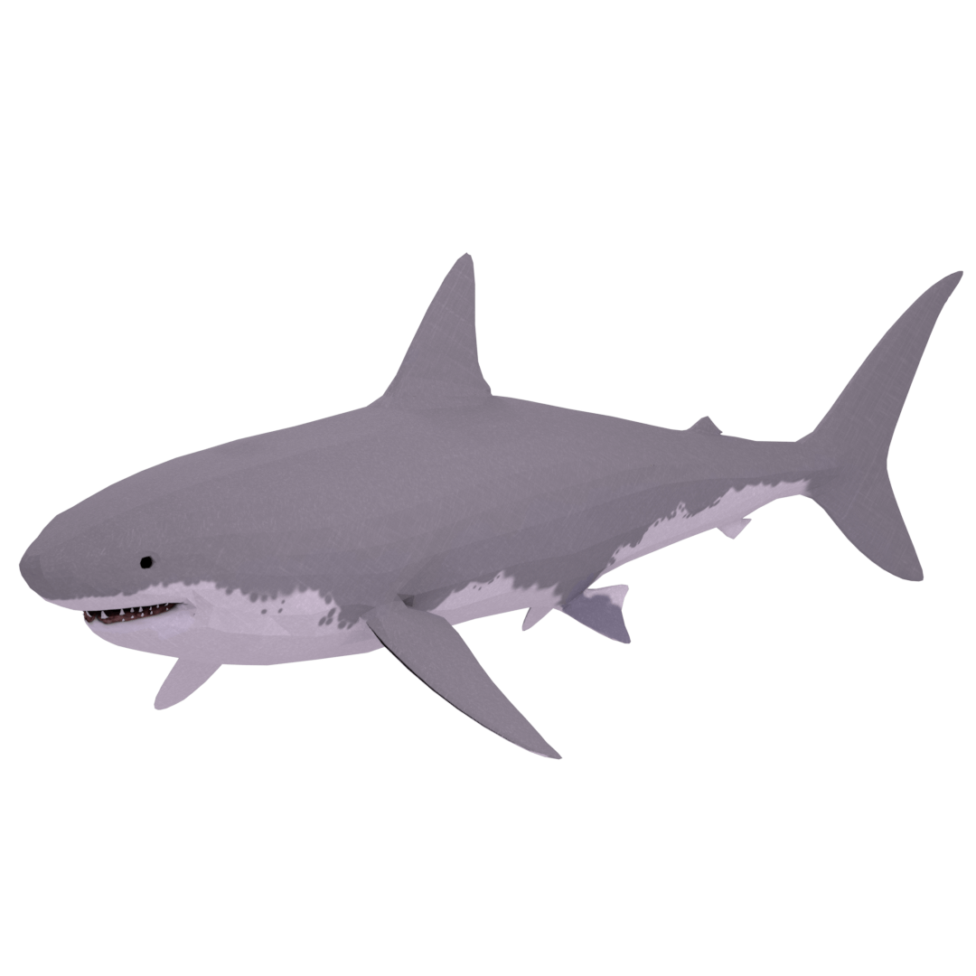 Great white shark - Free 3d model on creazilla.com