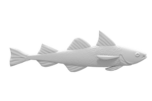 Alaska Pollock - Free 3d model on creazilla.com