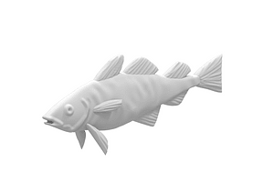Cod Fish - Free 3d model on creazilla.com