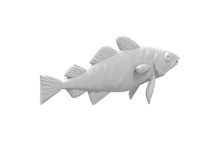 Cod Fish - Free 3d model on creazilla.com