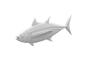 Tuna - Free 3d model on creazilla.com