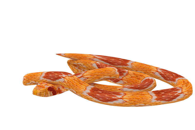 Corn snake - Free 3d model on creazilla.com
