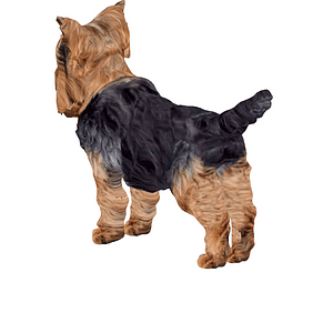 Yorkshire Terrier - Free 3d model on creazilla.com