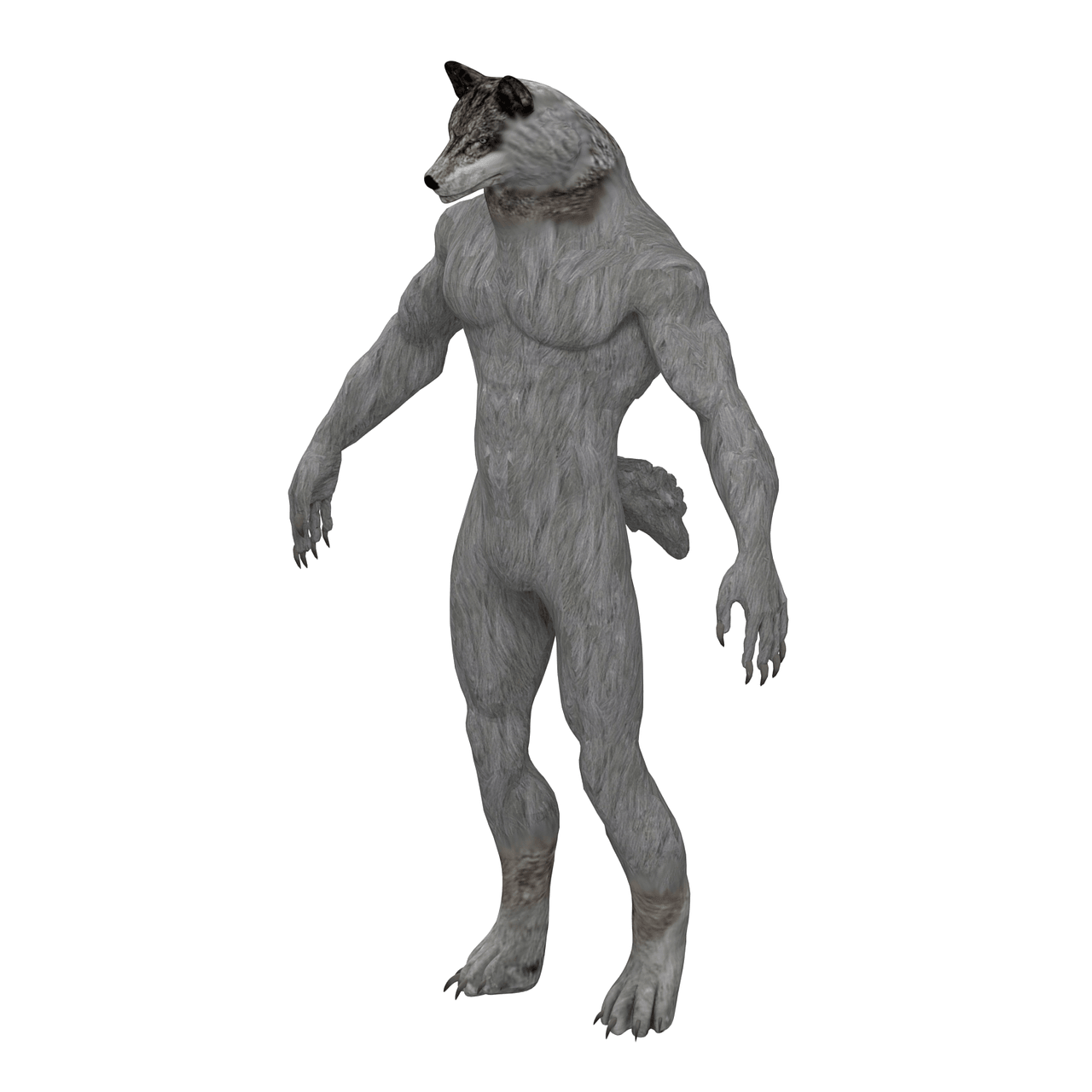 Werewolf - Free 3d model on creazilla.com