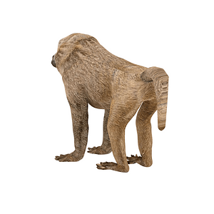 Baboon - Free 3d model on creazilla.com