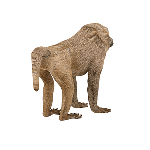 Baboon - Free 3d model on creazilla.com
