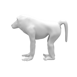 Baboon - Free 3d model on creazilla.com