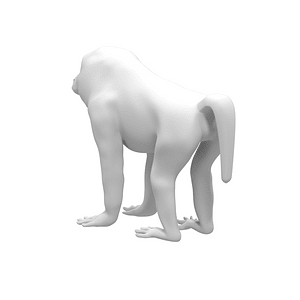 Baboon - Free 3d model on creazilla.com