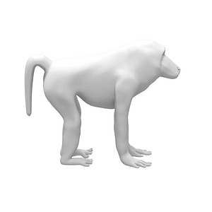 Baboon - Free 3d model on creazilla.com