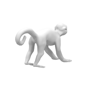 Capuchin - Free 3d model on creazilla.com