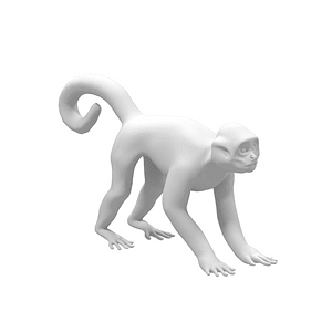 Capuchin - Free 3d model on creazilla.com