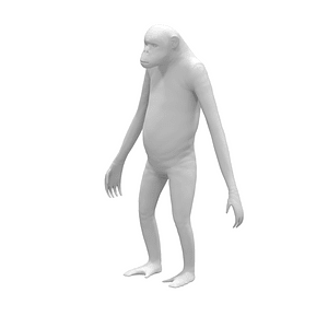 Chimpanzee - Free 3d model on creazilla.com