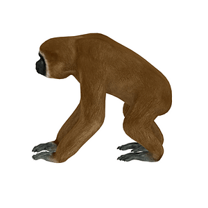 Gibbon - Free 3d model on creazilla.com