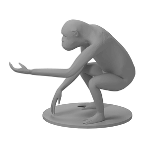 Monkey - Free 3d model on creazilla.com