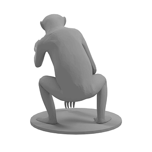 Monkey - Free 3d model on creazilla.com