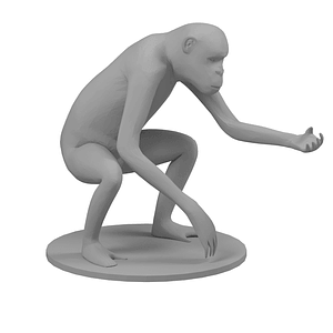 Monkey - Free 3d model on creazilla.com