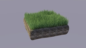 Set of Grass - Free 3d model on creazilla.com