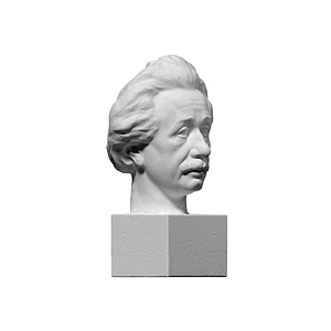 Einstein - Free 3d model on creazilla.com