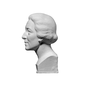 Woman's Bust - Free 3d model on creazilla.com