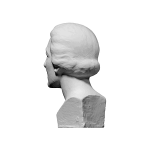 Woman's Bust - Free 3d model on creazilla.com