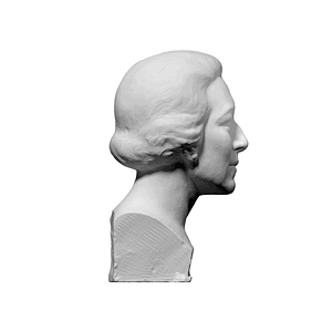 Woman's Bust - Free 3d model on creazilla.com