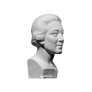 Woman's Bust - Free 3d model on creazilla.com