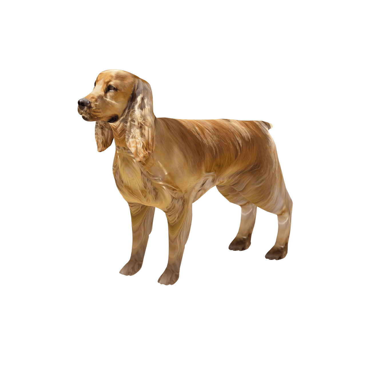 Cocker Spaniel - Free 3d model on creazilla.com