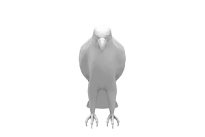 Bald Eagle - Free 3d model on creazilla.com