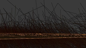 Fur Texture - Free 3d model on creazilla.com