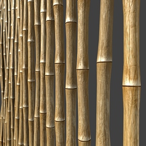 Single Bamboo Texture 3ds Max