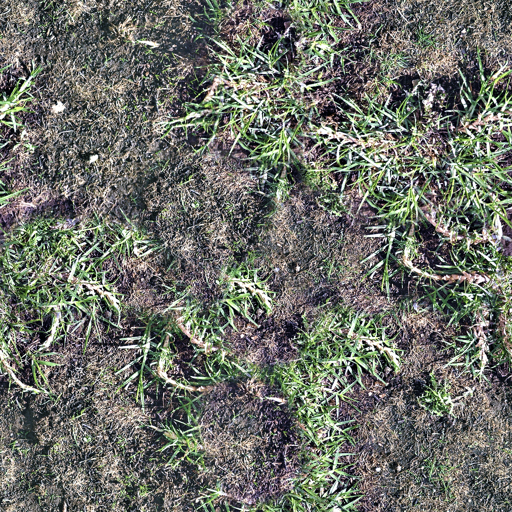 Grass Dirt Texture - Free 3d model on creazilla.com