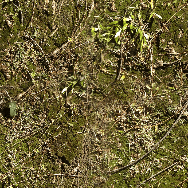 Moss Sticks Texture - Free 3d model on creazilla.com