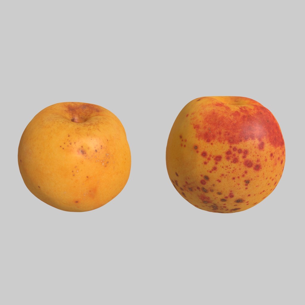 Apricots - Free 3d model on creazilla.com