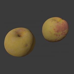 Apricots - Free 3d model on creazilla.com