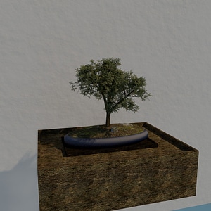 Bonsai Tree - Free 3d model on creazilla.com