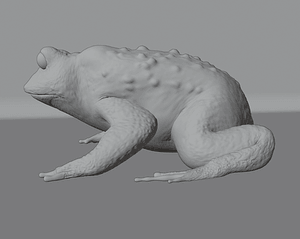 Poison Frog and Toad - Free 3d model on creazilla.com