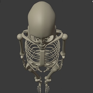 Skeleton - Free 3d model on creazilla.com
