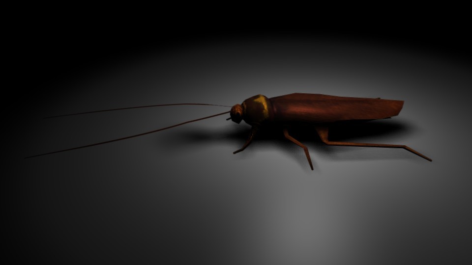 Cockroach - Free 3d model on creazilla.com