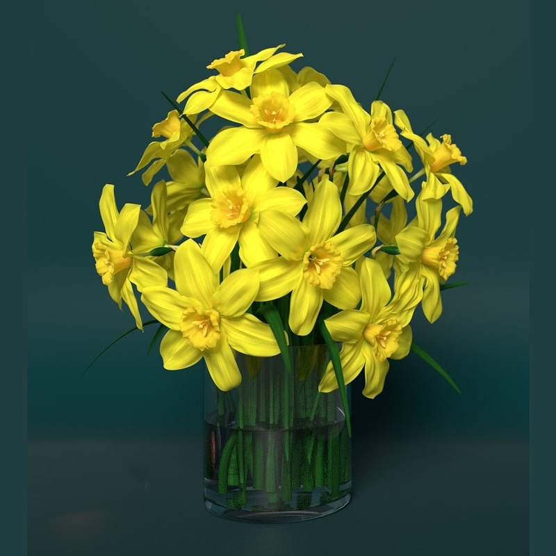 Rush Daffodil Narcissus Jonquilla Free 3d Model On