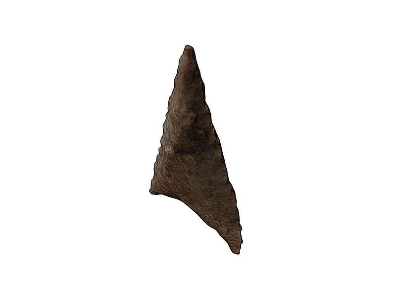 Arrowhead - Free 3d model on creazilla.com