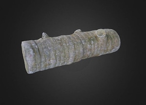 Crinoid stem segments - Free 3d model on creazilla.com