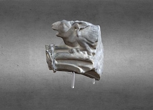 Rabbit grotesque - Free 3d model on creazilla.com